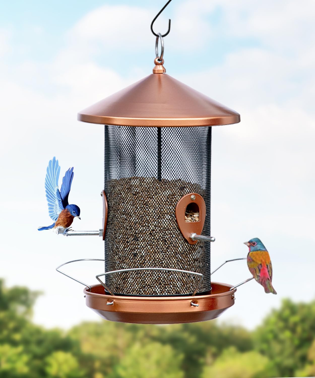 Amazon.com : Acgarten Large Hanging Wild Bird Feeder :Outdoor 12.6inch ...