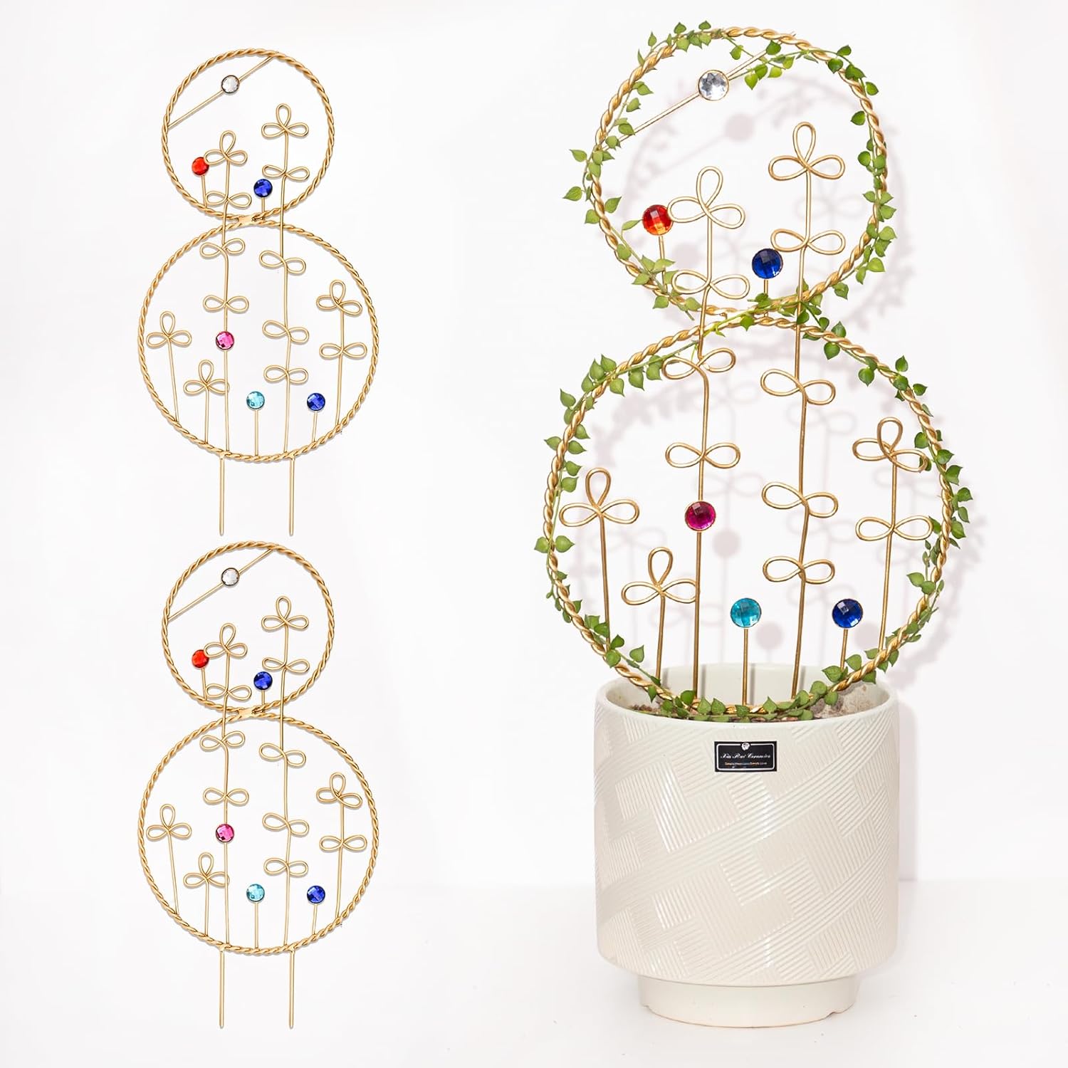 Amazon.com : GOOOXIM 2PCS Hoya Trellis Plant Support Indoor Metal Frame ...