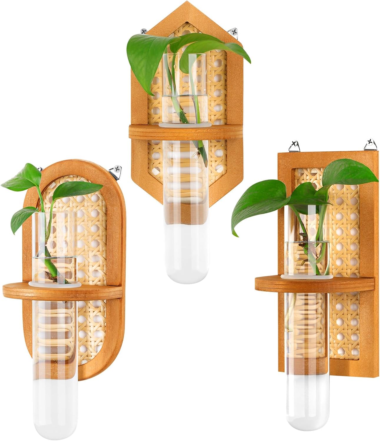Amazon.com: Wenqik 3 Pcs Hanging Propagation Station Boho Wall ...