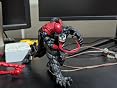Amazon.com: MARVEL Legends Series Spider-Shot, Spider-Man Comics ...