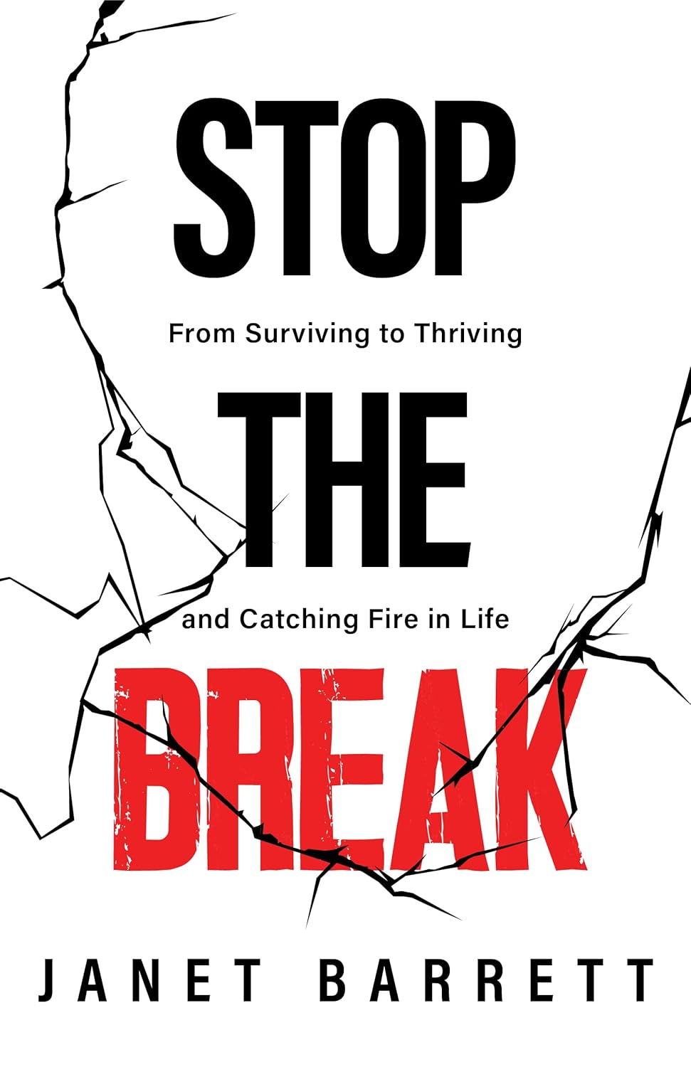 Stop The Break: From Surviving to Thriving and Catching Fire in Life ...