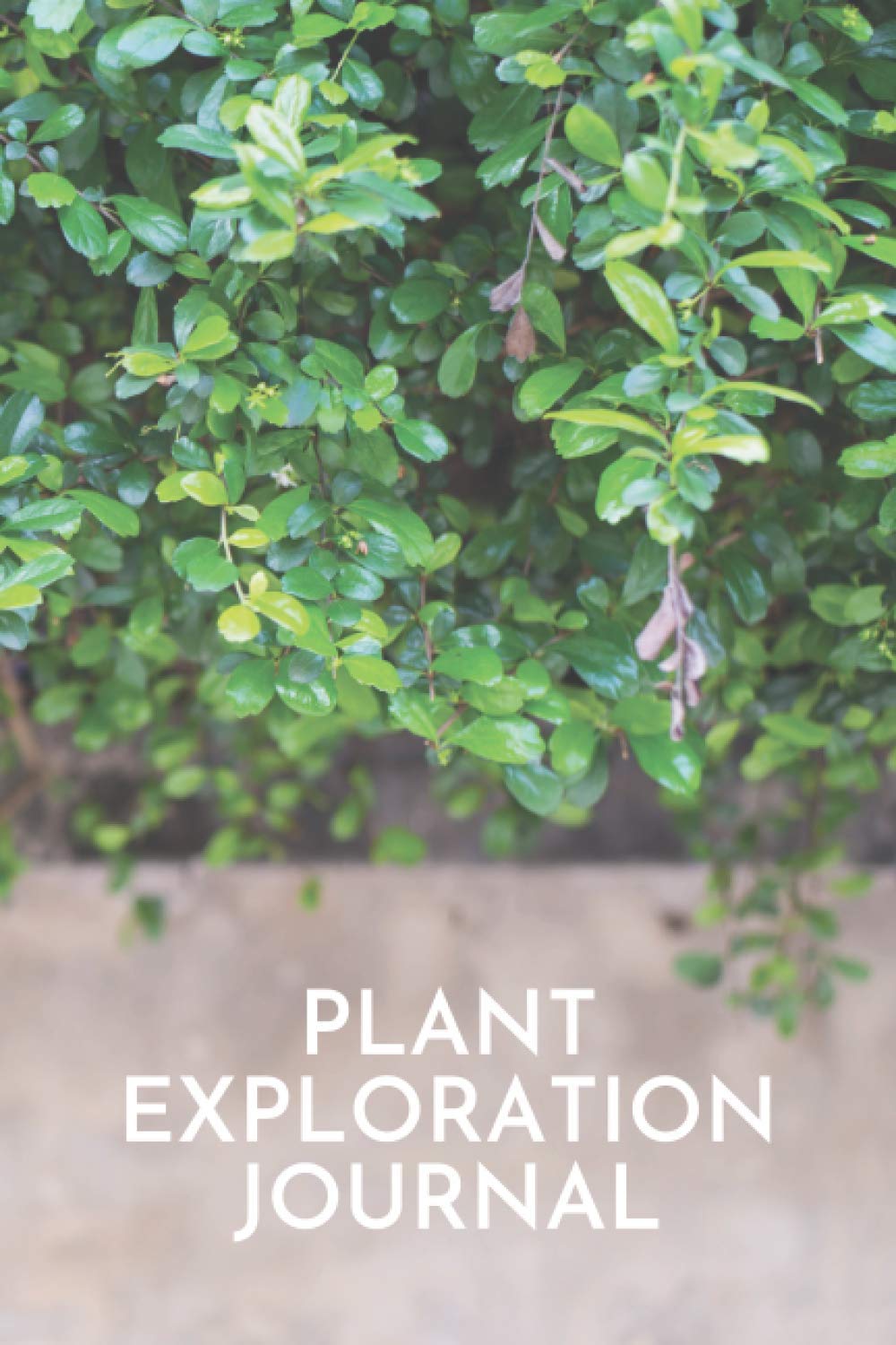 Explore 6 blender - Hitta bästa priset på Prisjakt