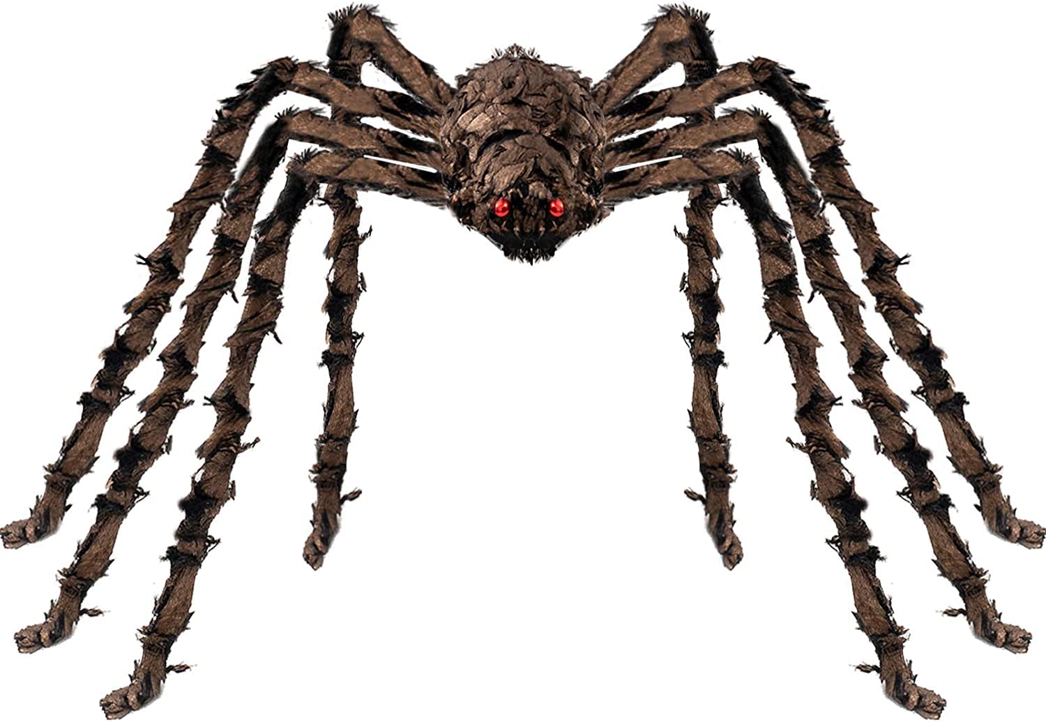 Gallery Of Giant Spiders