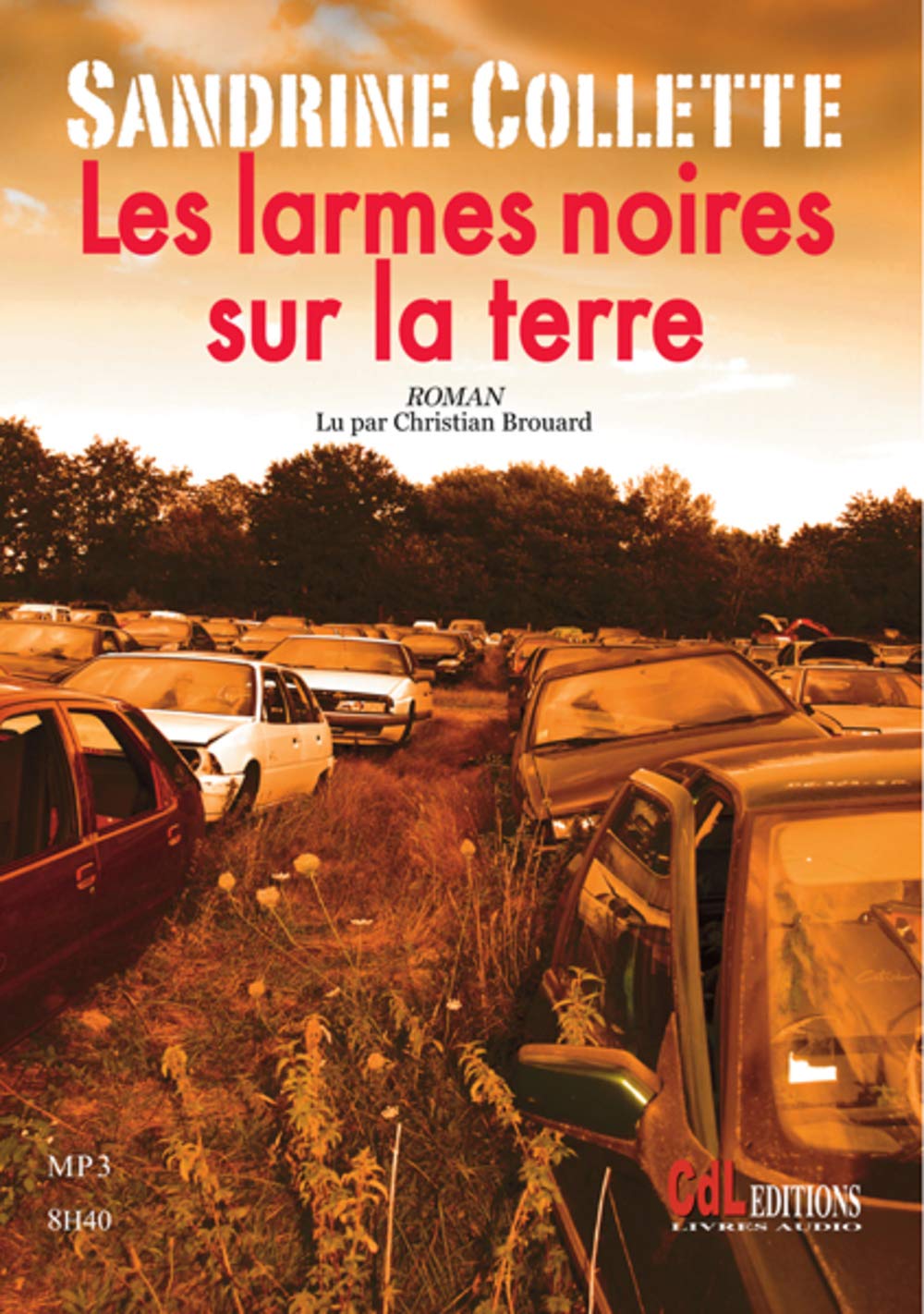 Amazon.com: Les Larmes Noires Sur la Terre: 9782353832200: Sandrine ...