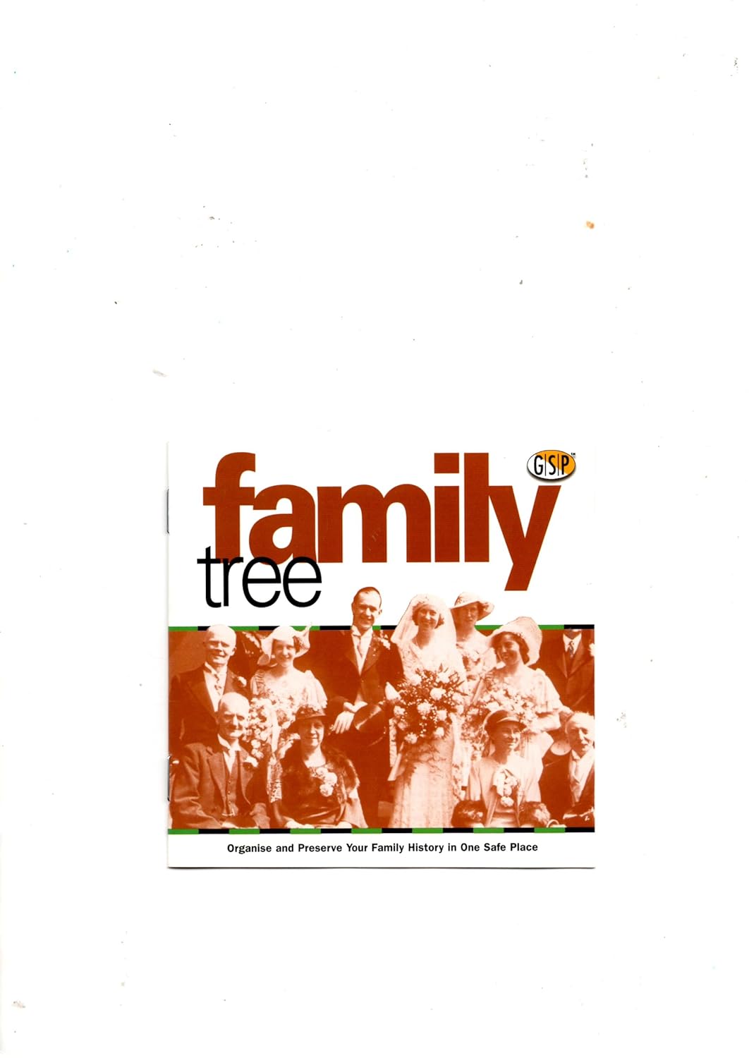 Windows (Family Tree): Amazon.co.uk: MPC: 9781901861402: Books