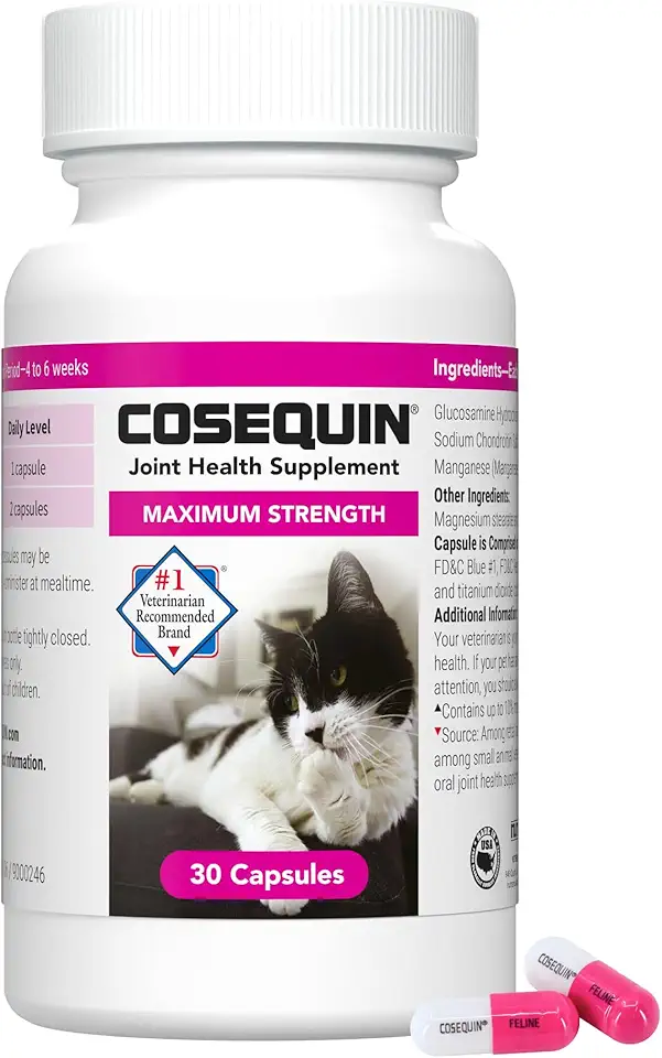 Understanding The Benefits Of Cosequin For Cats: A Guide To Joint ...