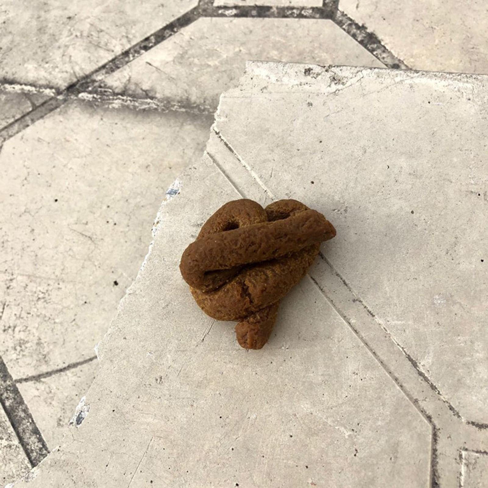 Human Poop On The Floor Flushing Feces Urine Toilet After Bowel