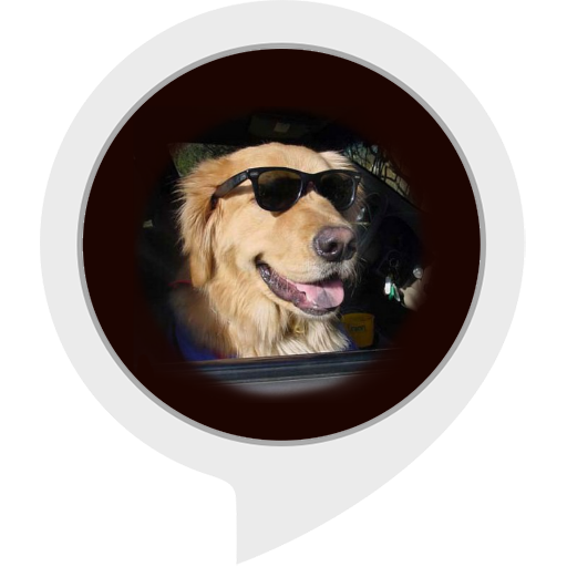 Amazon.com: null : Alexa Skills