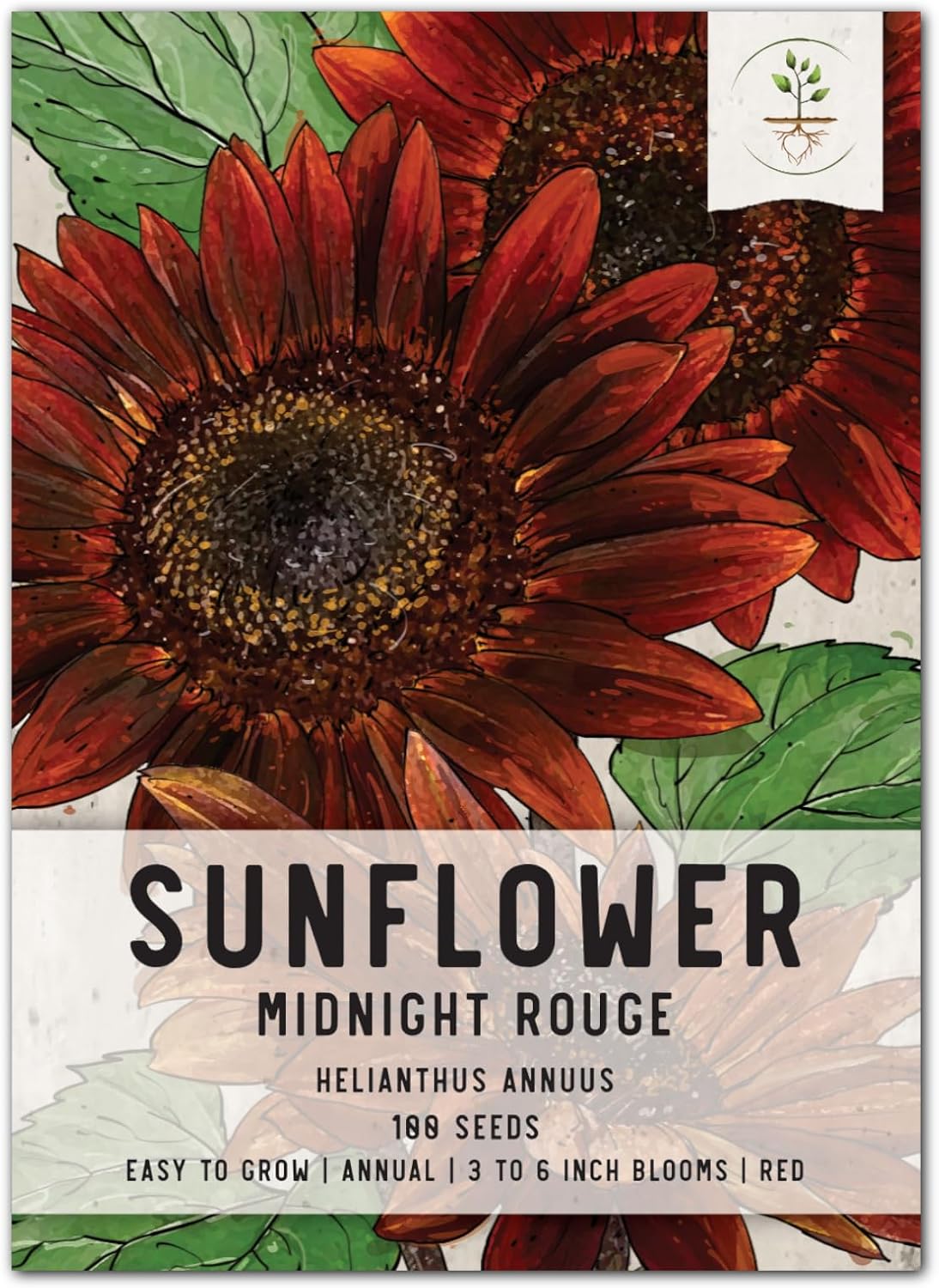 Amazon.com : Seed Needs, Multi Branching Midnight Rouge Sunflower Seeds ...