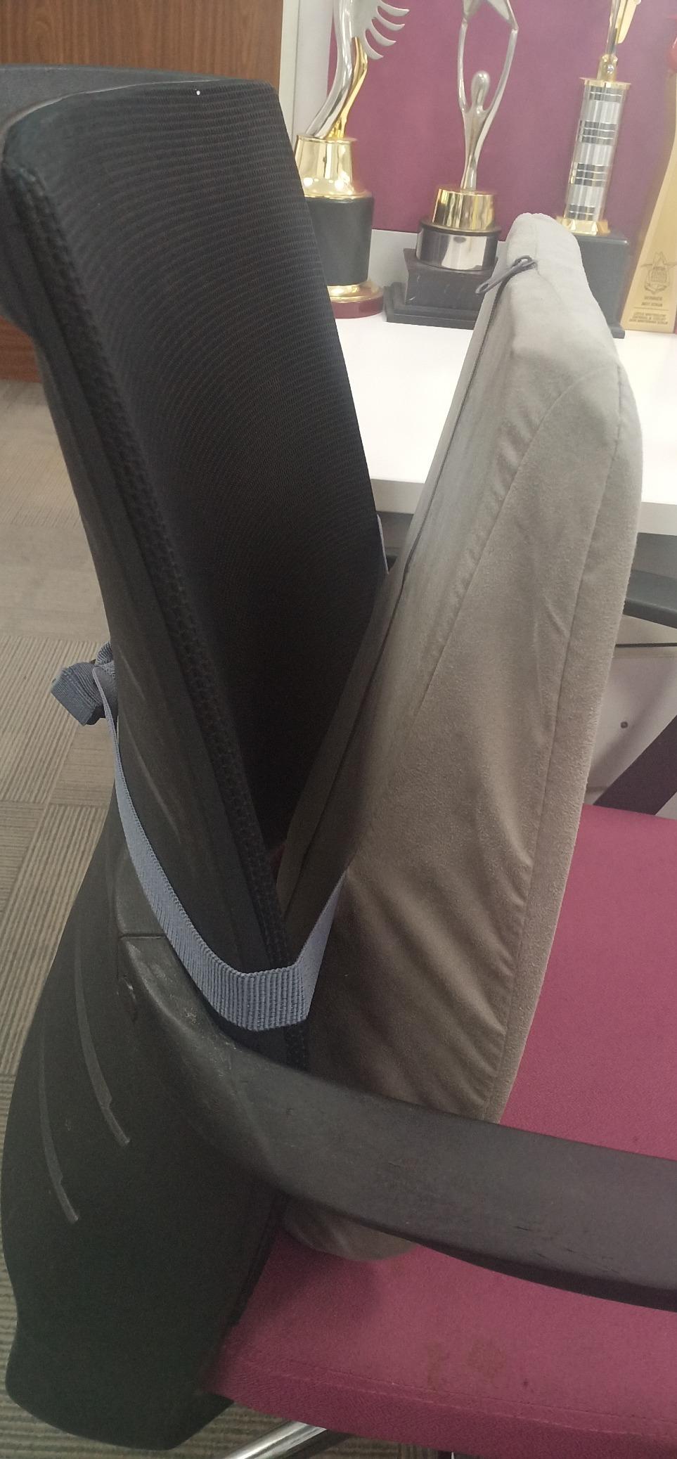 Buy VISSCO Smart Orthopaedic Back Rest |Designed for Back Pain Relief ...