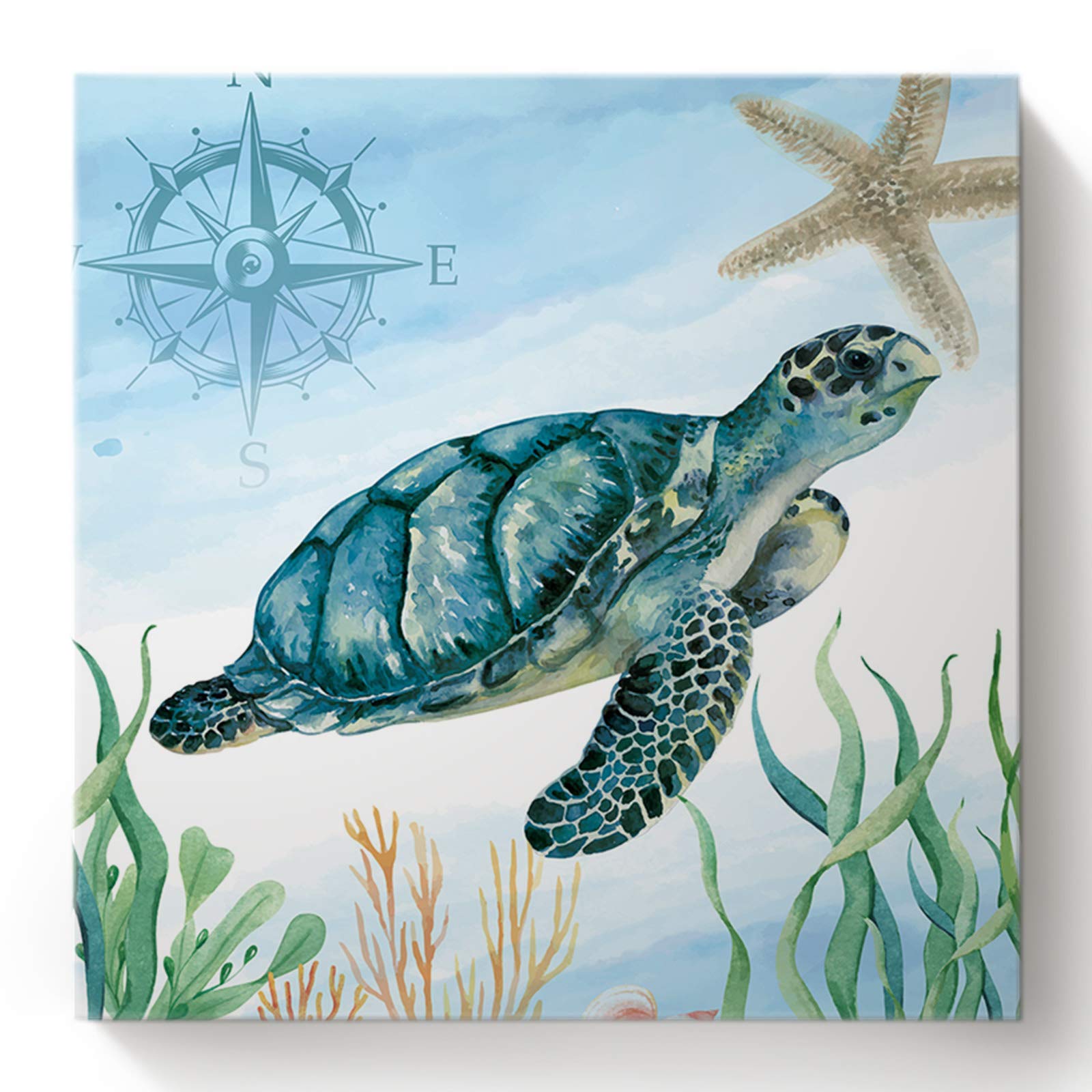 Seaweed Drawing For Kids