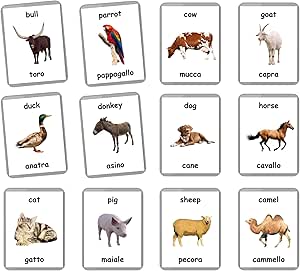 Amazon.com: Italian English Bilingual Flash Cards | Laminated Flash ...