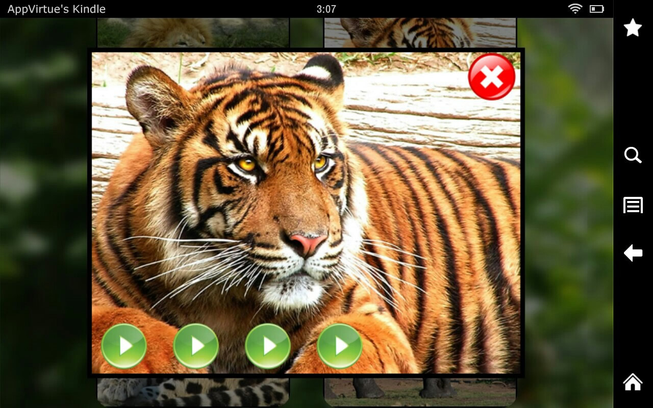 Animal Sounds Safari HD - NO ADS - App on Amazon Appstore