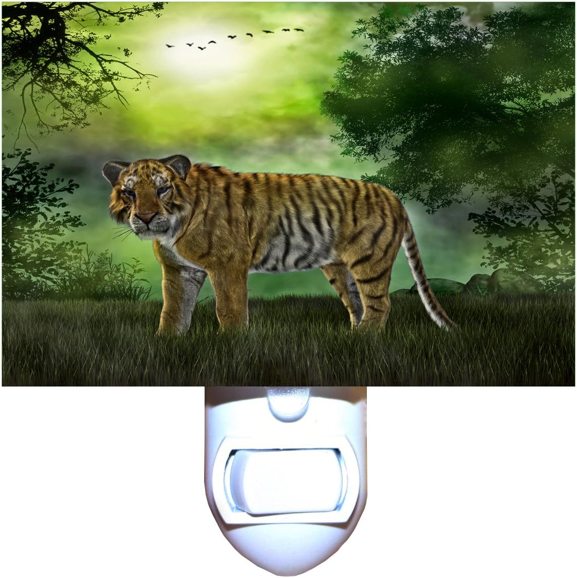 Tiger in The Mist Decorative Night Light - Amazon.com