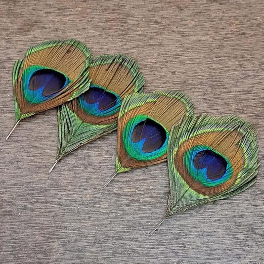 meryCraft Natural Size-8 CM Peacock Feather | Mor Pankh | Real Peacock ...