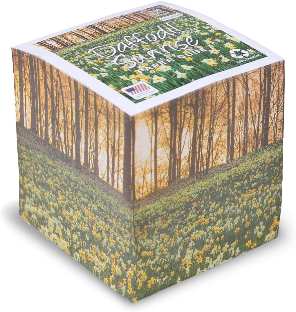 Amazon.com : EARTHCUBE (Daffodil Sunrise Design Blank White 3.5 Inch ...