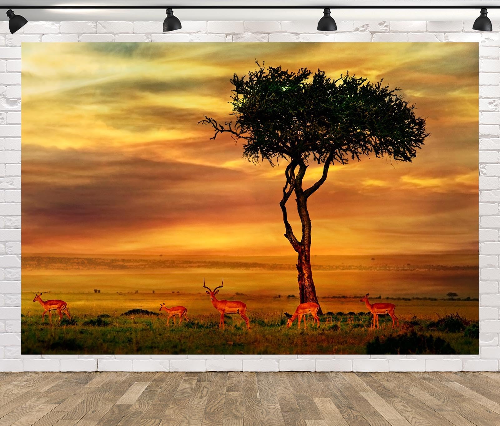 African Safari Landscape Background African Safari Landscapes