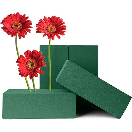 Amazon.com: Floral Foam Blocks (4 Bricks) - Wet Florist Foam - Green ...