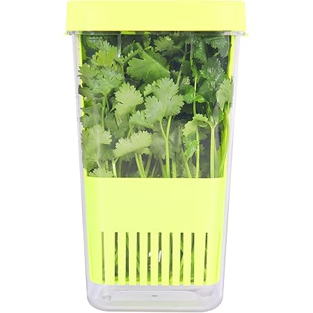 Amazon.com: The Herb Angel Mason Jar Herb Lid - Fresh Herb Keeper ...