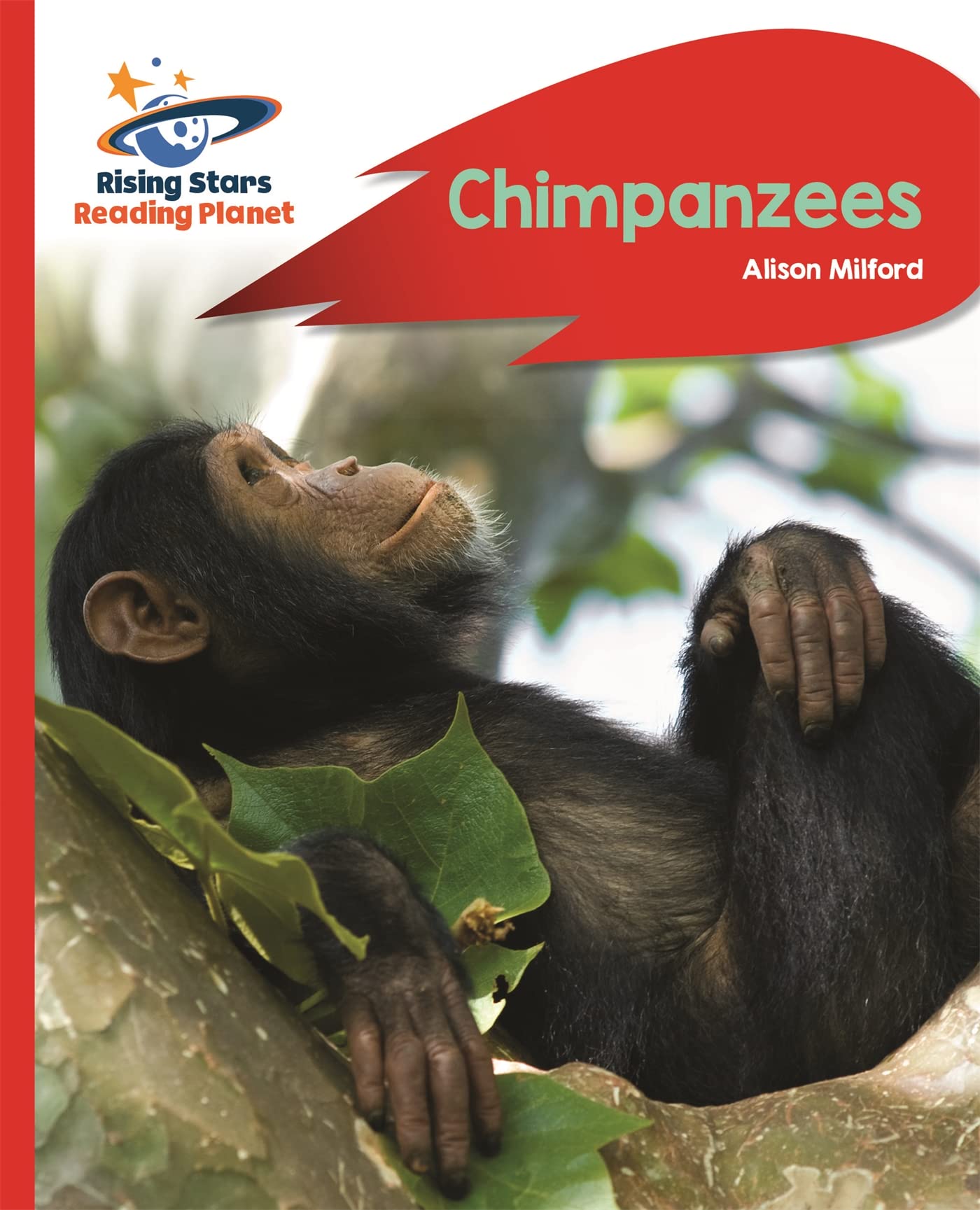Reading Planet - Chimpanzees - Red B: Rocket Phonics (Rising Stars ...