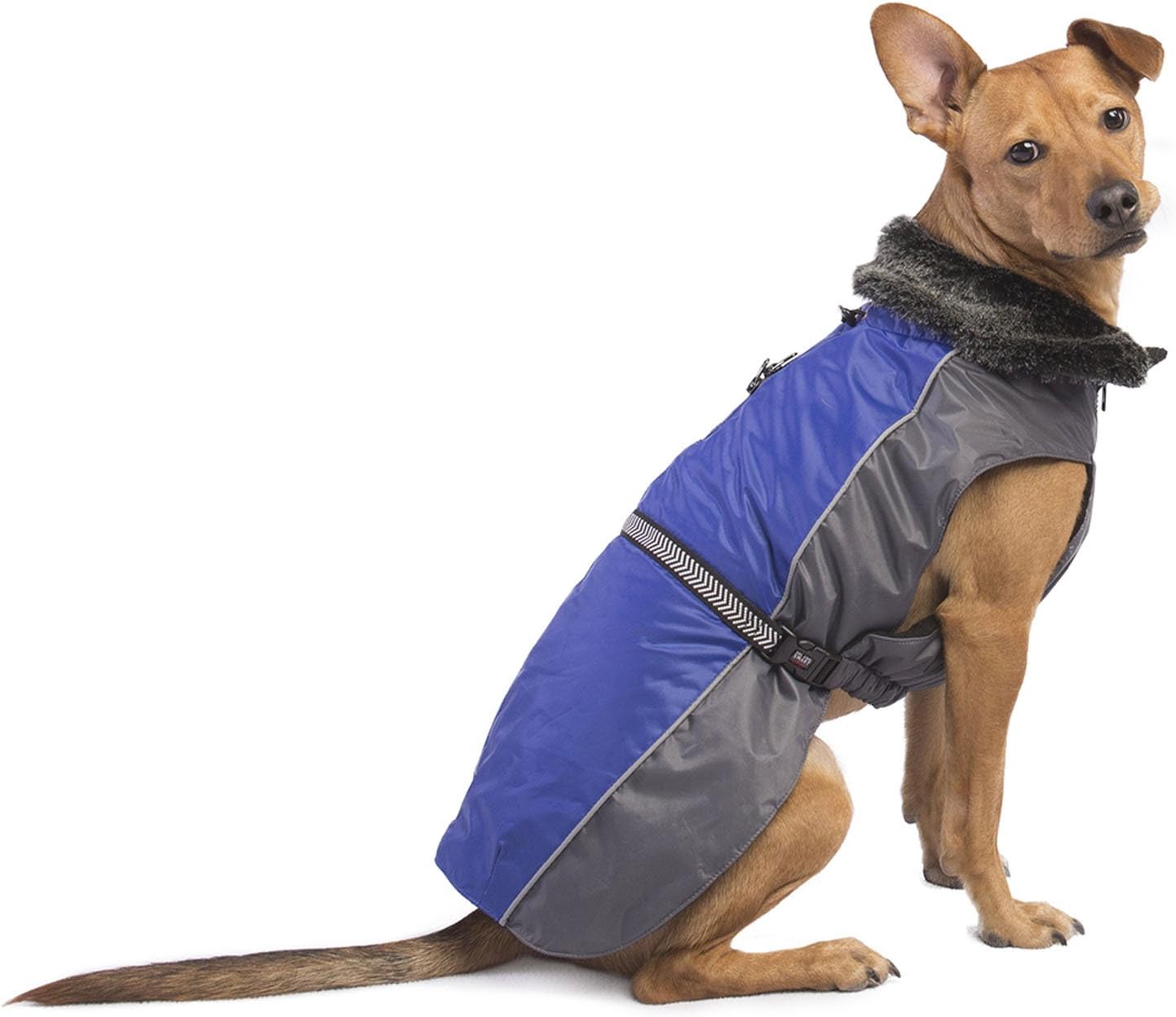 Amazon.com : Dog Gone Smart Aspen Parka with Repelz-It Nano-Protection ...