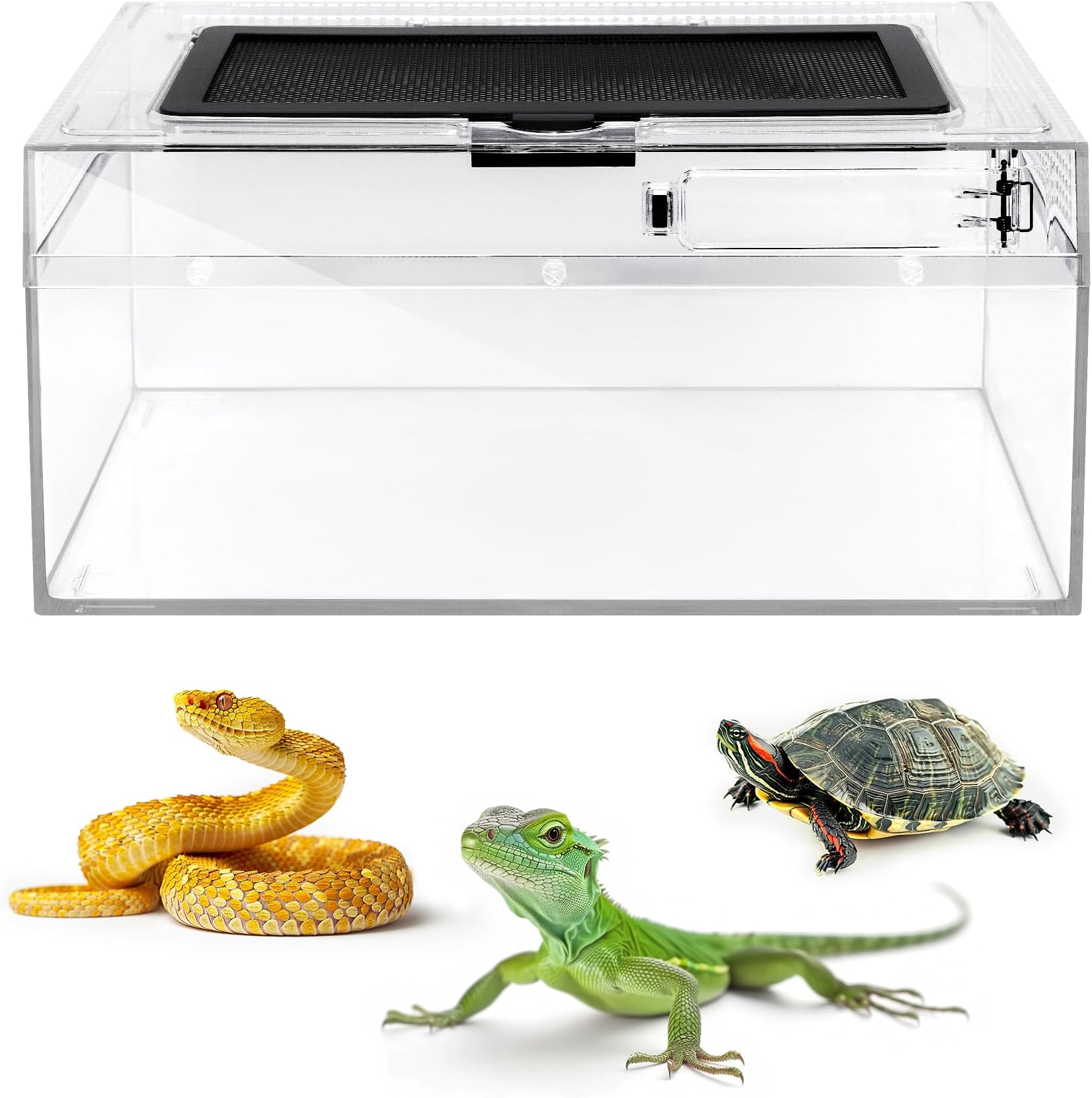 Amazon.com : Mini Reptile Terrarium Set,12" x 7"x 6" Low Reptile Tank ...