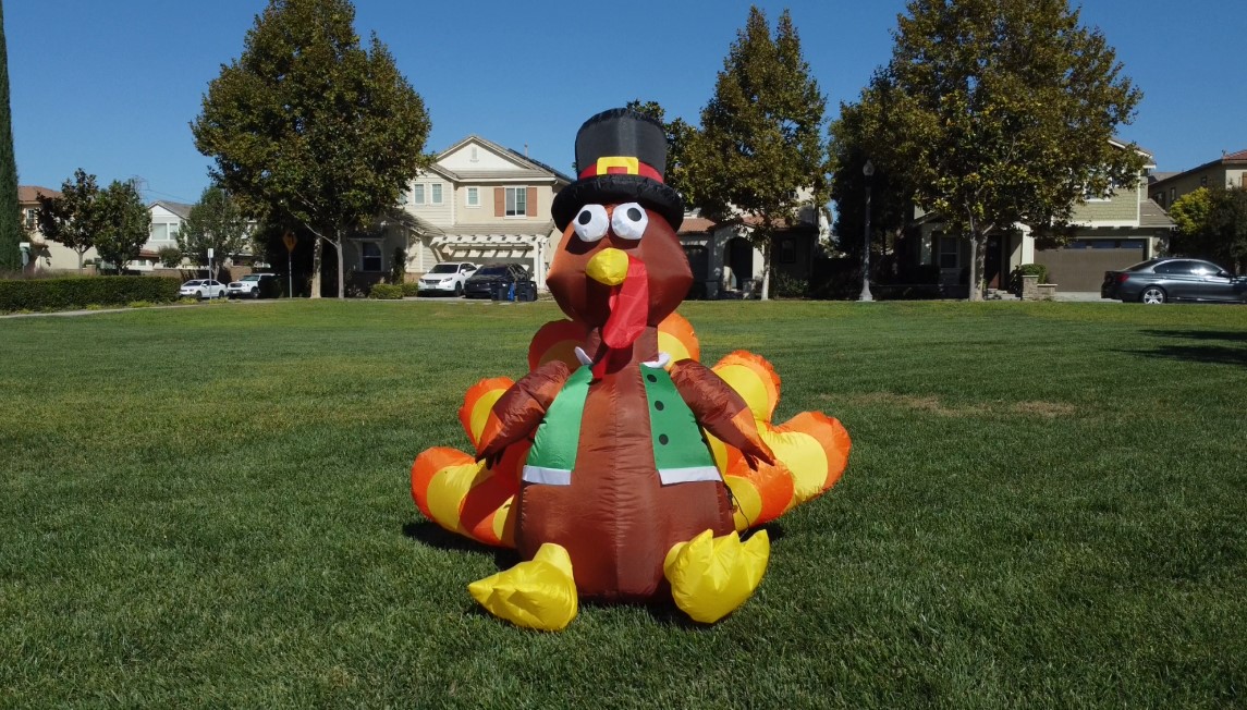 Watch 4 Foot Happy Thanksgiving Inflatable Turkey with Pilgrim Hat on ...