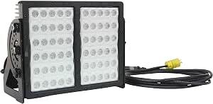 300 Watts High Intensity LED Light w/ 20' Cord and Wall Plug - 60 LEDs ...
