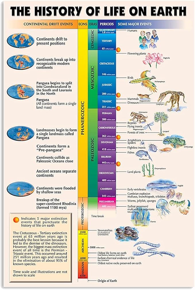 Amazon.com: WJELLG 5.5"X 8" Vintage The History of Life On Earth Earth ...