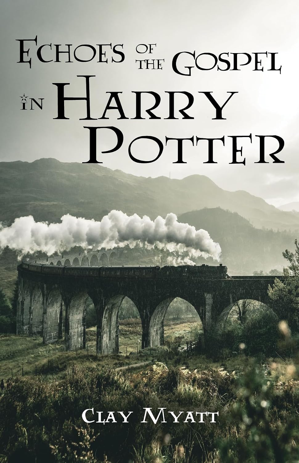 Echoes of the Gospel in Harry Potter: Myatt, Clay: 9781666708684 ...