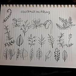 Botanical Line Drawing: 200 Step-by-Step Flowers, Leaves, Cacti ...