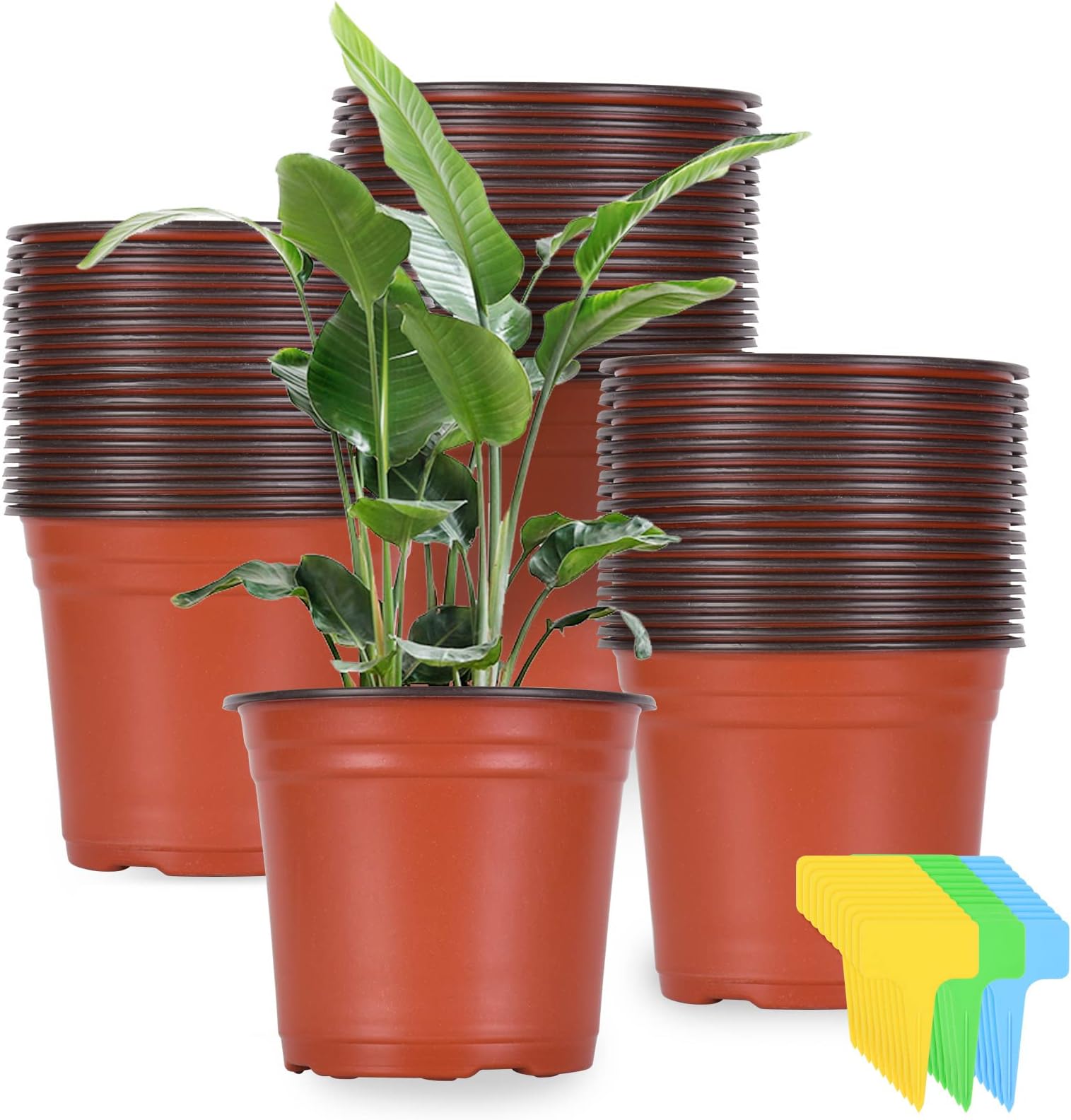 Amazon.com: MANCHAP 100 Pcs 6 Inch Plastic Plant Nursery Pots, Flexible ...