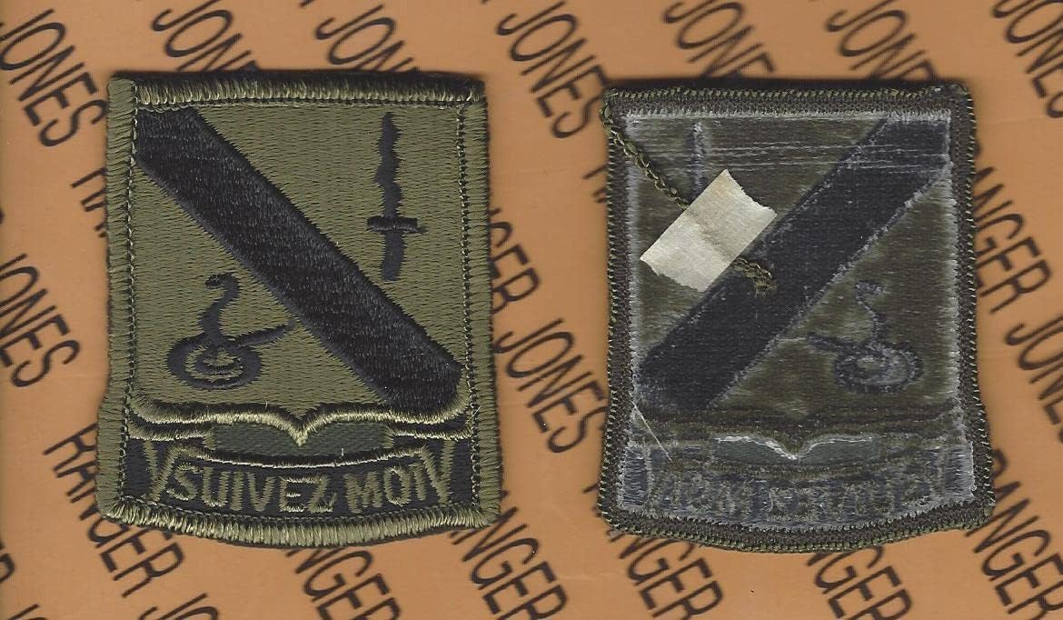 Amazon.com: US Army 14th Armored Cavalry Regiment ACR OD Green & Black ...