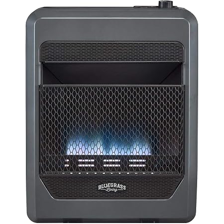 Propane Wall Heaters With Thermostat And Blower Ventless