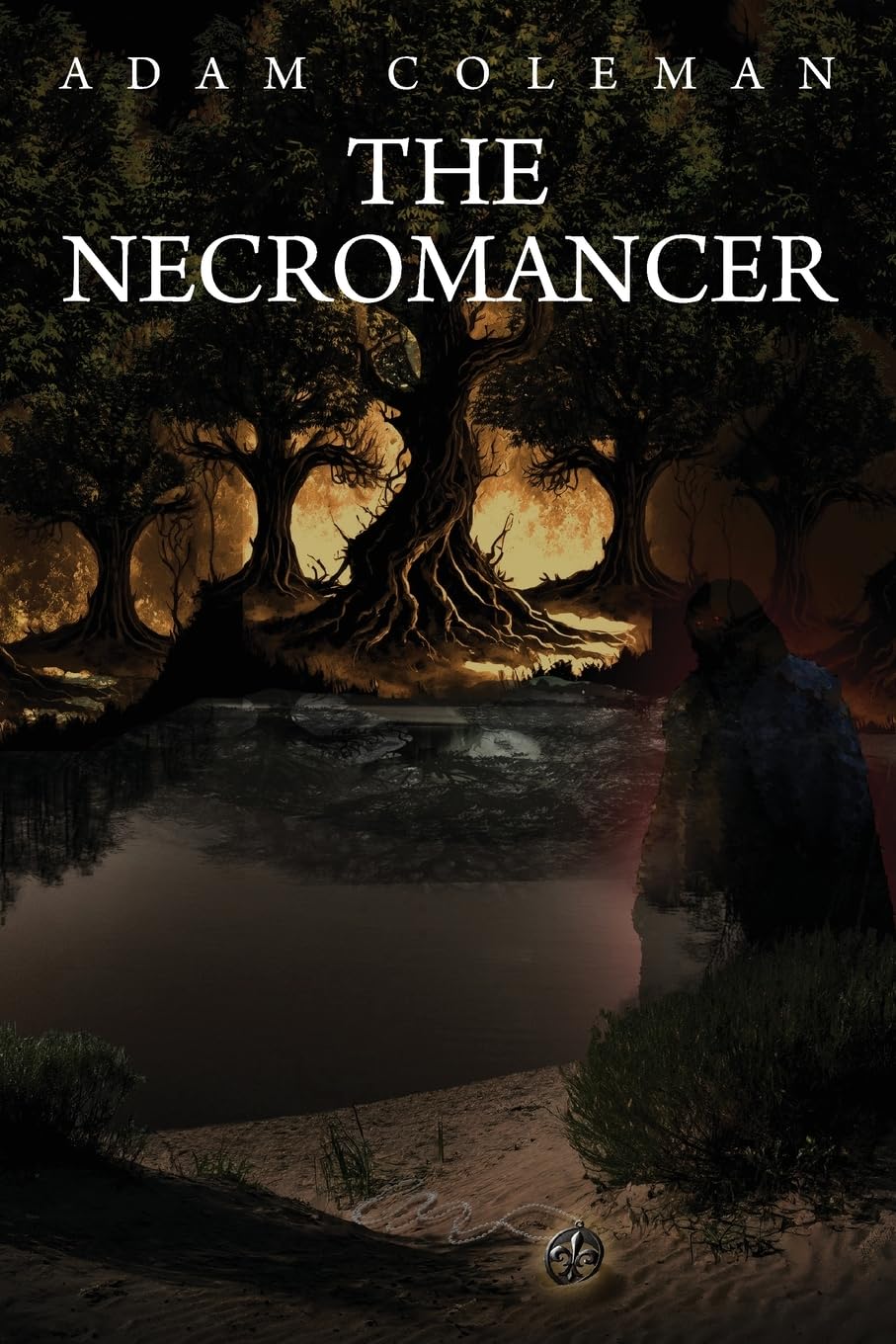 Amazon.com: The Necromancer: 9781923216167: Coleman, Adam: Books