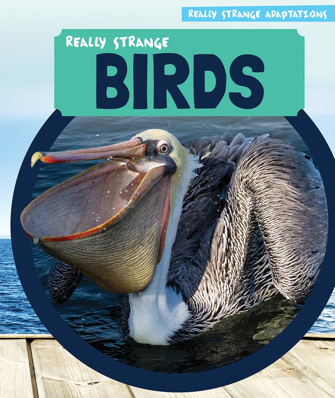 Really Strange Birds (Really Strange Adaptations): Levy, Janey ...