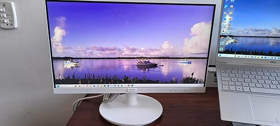 PHILIPS Monitor Branco 21.5", pequeno, 221V8LW | Amazon.com.br