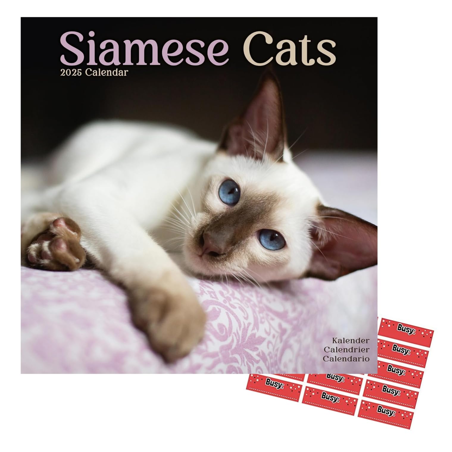 Siamese Cats Calendar 2025 with Organisational Stickers : Amazon.co.uk ...