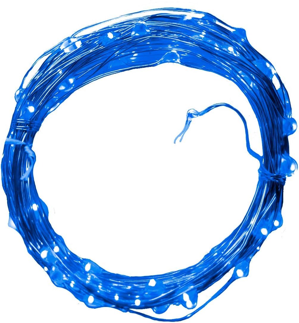 Amazon.com: Hometown Evolution, Inc. Blue Fairy Lights - Battery ...