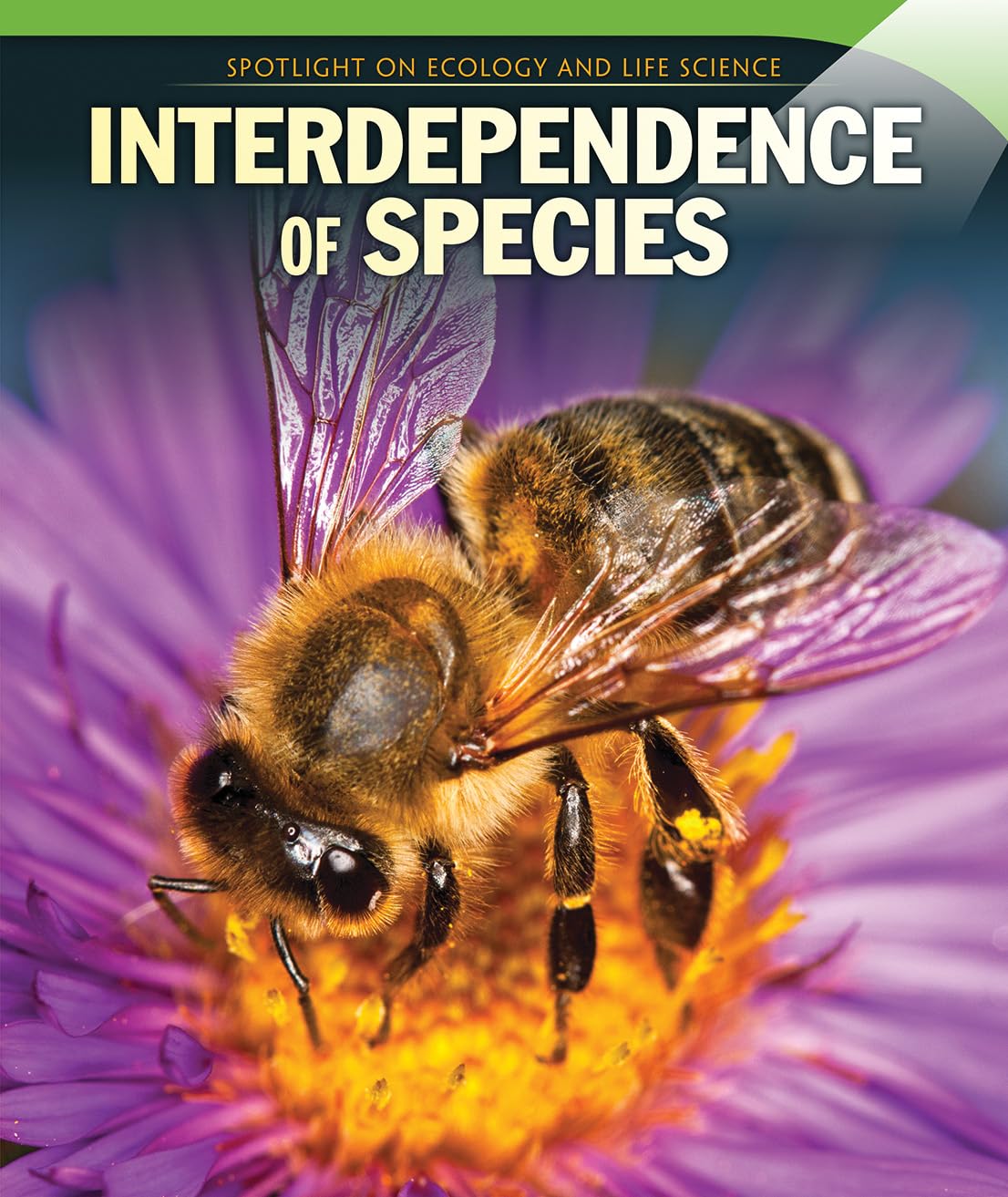 Interdependence of Species (Spotlight on Ecology and Life Science ...