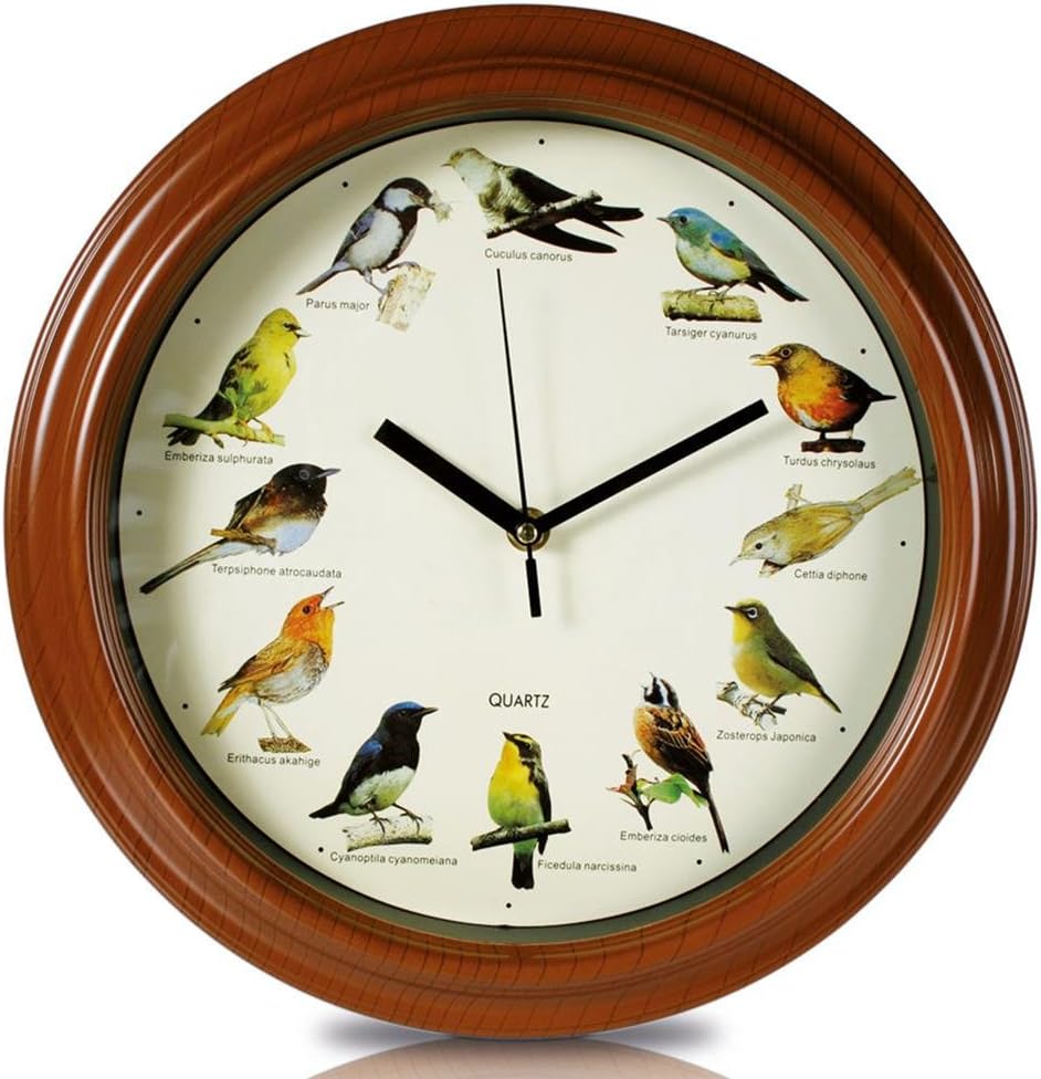Out of the Blue Plastic Wall Clock with Birds Design, Multicolour, l x ...