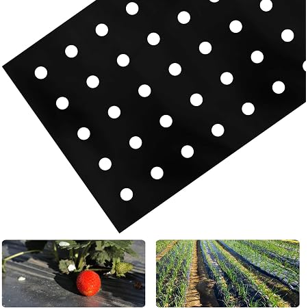Amazon.com : Weed Guard Paper Mulch Roll, 36-inches (W) X 50-feet (L ...