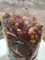 Amazon.com: Candy Jelly Rocks 5lbs