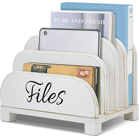 Amazon.com: Delifox Inclined Desk File Organizer, 5-Section Vertical ...