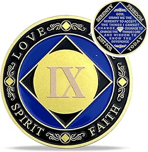 Amazon.com : 9 Year NA Medallions - Recovery Narcotics Anonymous Chips ...