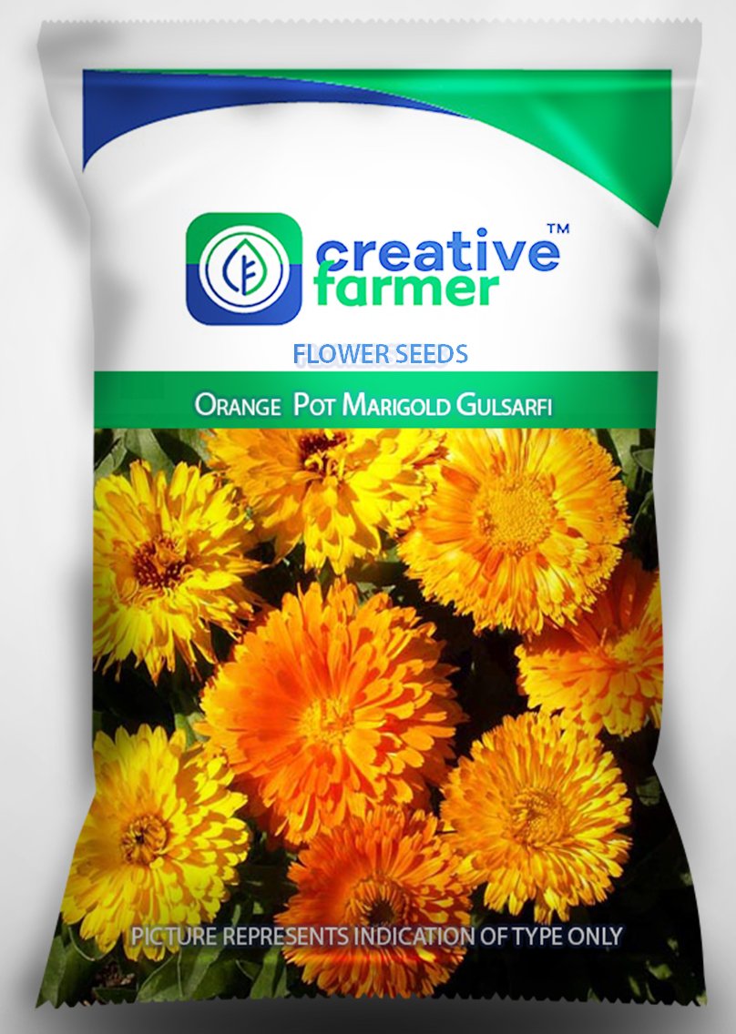 Creative Farmer Orange Pot Marigold Gulsarfi Seeds For Home Garden-50 ...