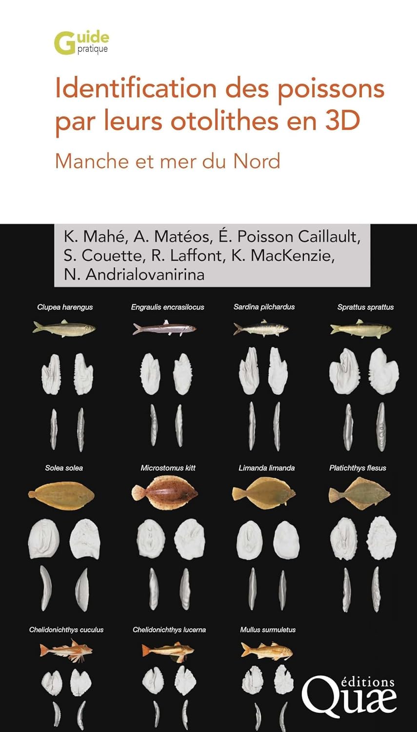 Amazon.com: Identification des poissons par leurs otolithes en 3D ...