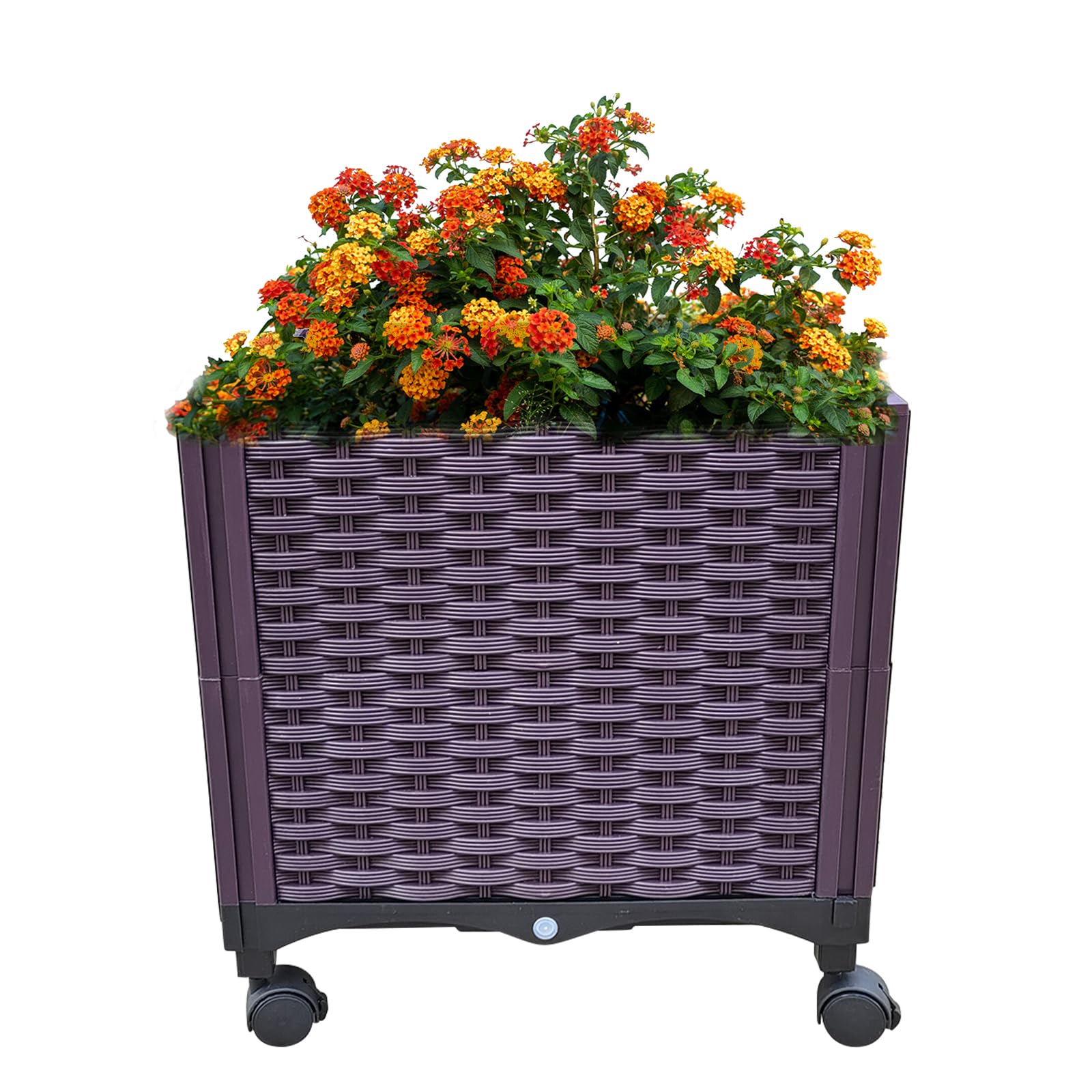 Amazon.com: Doppy Plastic Rolling Raised Garden Bed,Deepen Planter ...