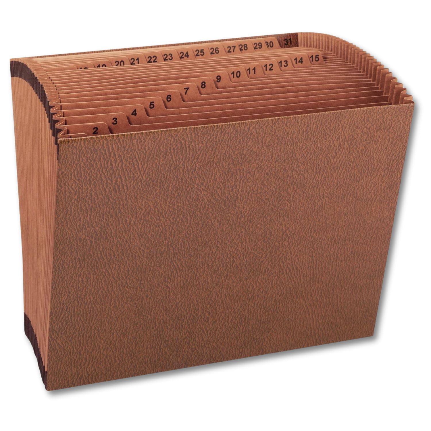 Amazon.com : 1InTheOffice Expanding File Folder 31 Sections, Accordion ...