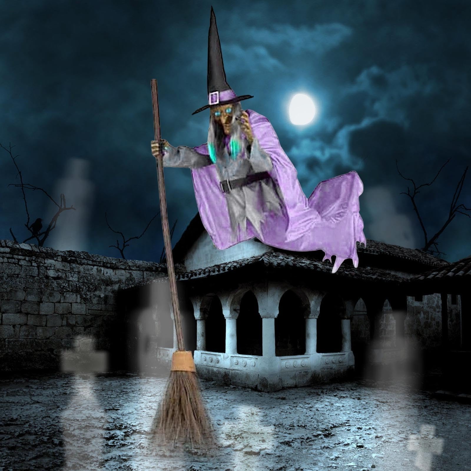 Halloween Witch On Broom